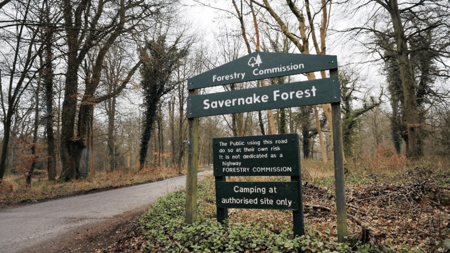 Visit Big Belly Oak – Wiltshires Oldest Tree – Entertainment Swindon