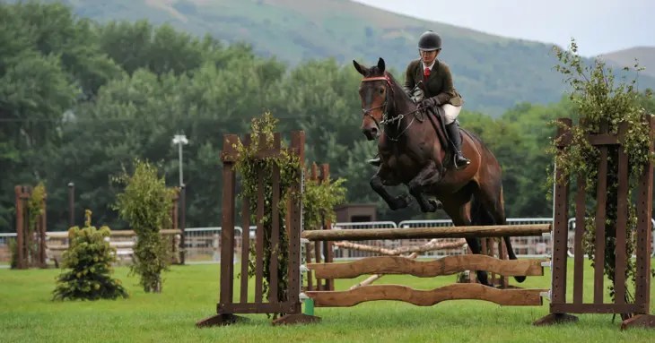 Royal Three Counties Show returns, promising to be a spectacular ...