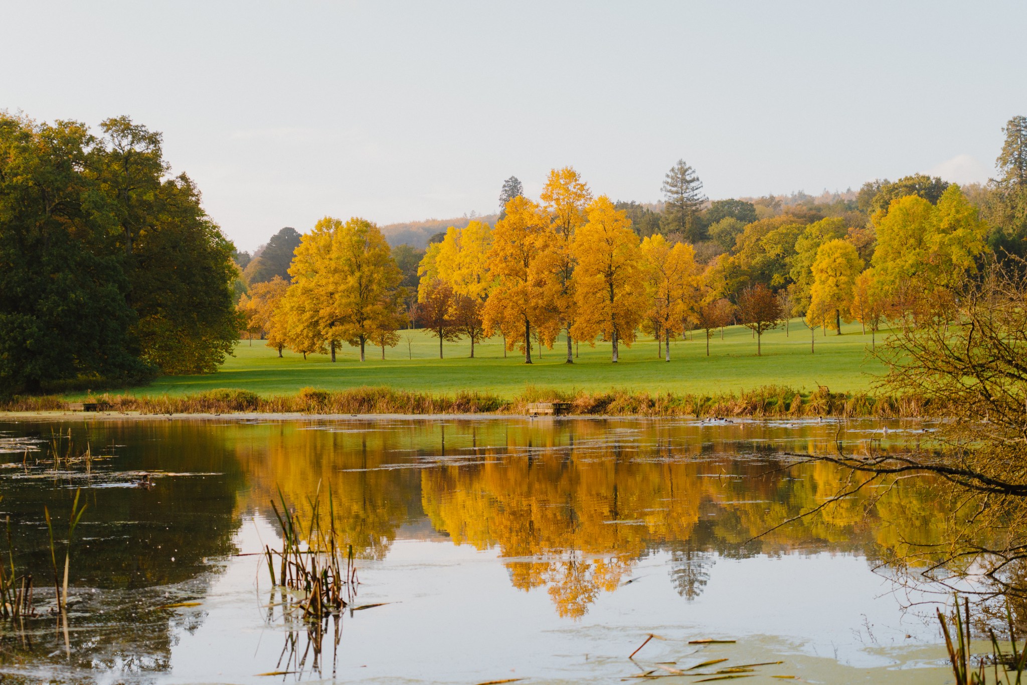 Autumn Unfolds in All It’s Glory Along Longleat’s Historic Driveway ...
