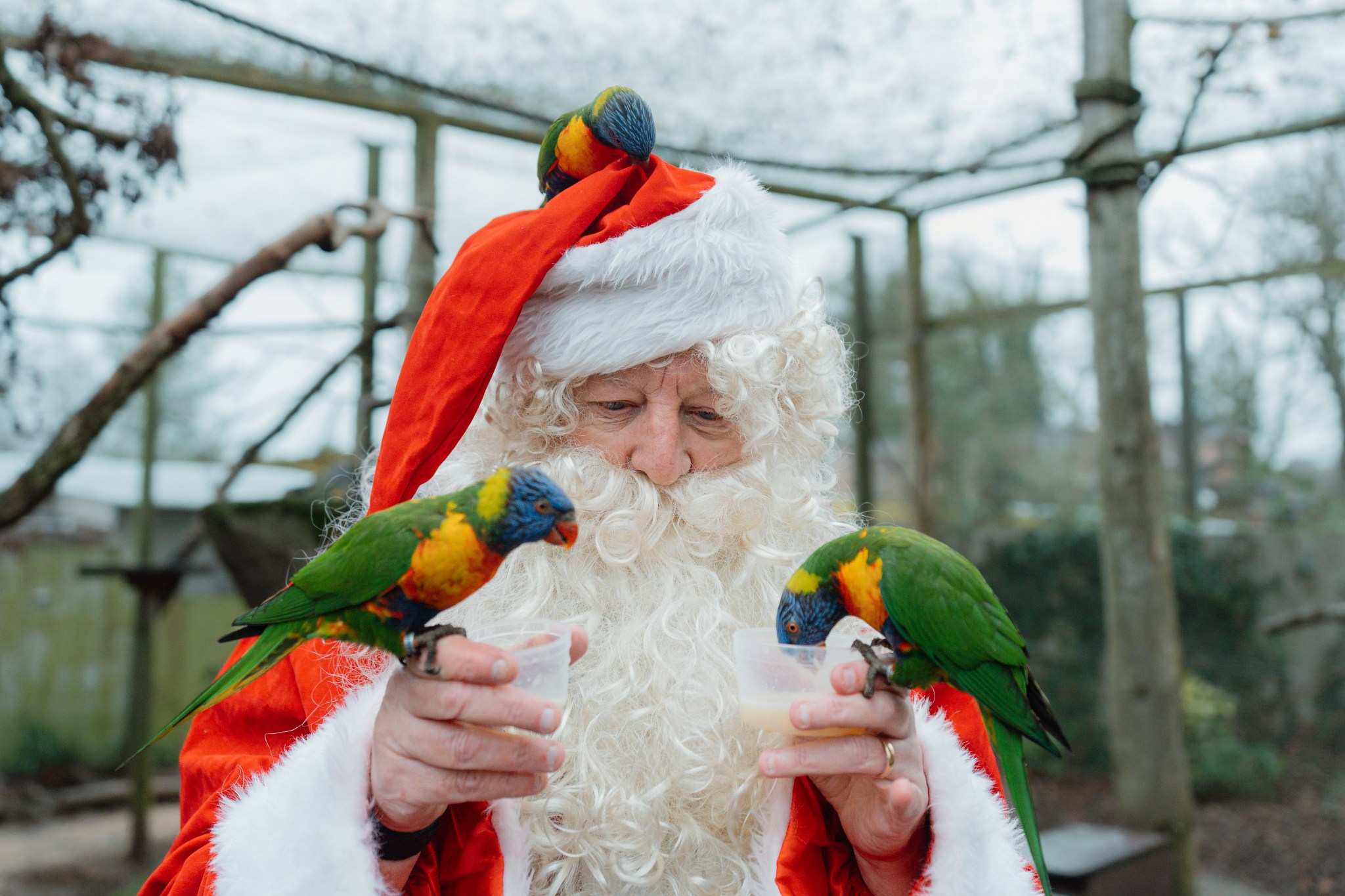 Santa takes time out to visit Longleat – Entertainment Swindon
