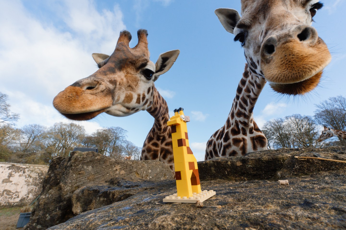 LEGO Brick Week comes to Longleat for February Half Term ...
