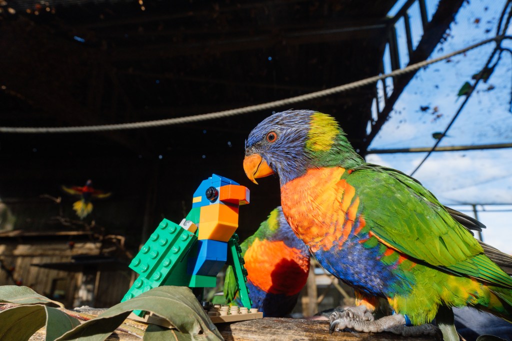 Longleat Celebrates 60th Anniversary of Safari Park Opening in 2026 ...